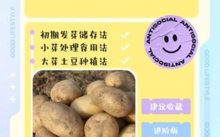 土豆发芽怎么处理_吃了会中毒吗