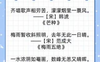 芒种歌词含义_芒种表达了什么情感