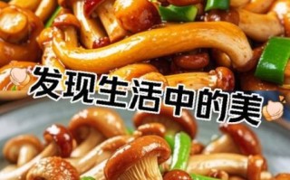鸡腿菇怎么做好吃_鸡腿菇的家常做法大全