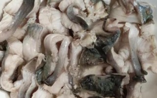 红烧叉尾鱼怎么做_红烧叉尾鱼的家常做法