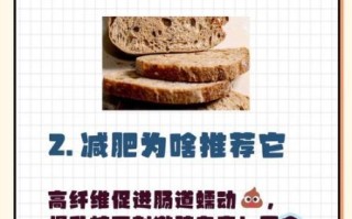 全麦面包吃多了会胖吗_全麦面包热量高不高