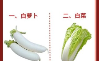 大寒吃什么蔬菜好_冬季养生蔬菜推荐