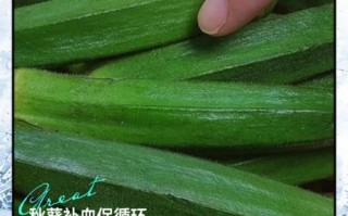 秋葵能生吃吗_秋葵生吃有毒吗