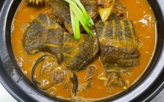 清炖甲鱼汤怎么炖不腥_清炖甲鱼汤的家常做法