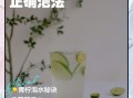 小青柠檬怎么泡水_小青柠檬泡水正确方法