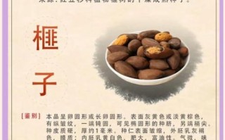 香榧子的功效与作用_香榧子怎么吃效果最好