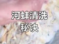河蚌怎么清洗_河蚌怎么做好吃