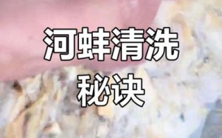 河蚌怎么清洗_河蚌怎么做好吃