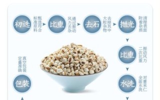 薏仁米饭怎么煮_薏仁米饭的功效与作用