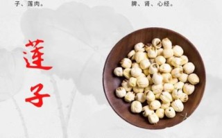 莲子生吃可以吗_生吃莲子的危害与正确吃法