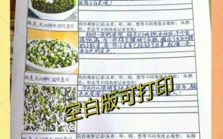 绿豆发芽需要几天_绿豆发芽记录表格怎么看