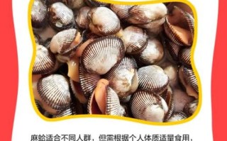 麻蛤都能吃吗_麻蛤食用禁忌