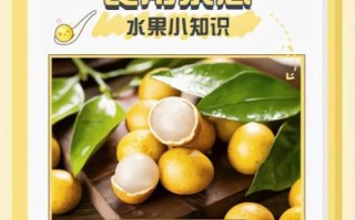 龙眼不能和什么一起吃_龙眼相克食物有哪些