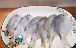 平鱼价格多少钱一斤_平鱼最新行情