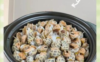 花螺怎么做好吃_花螺的家常做法