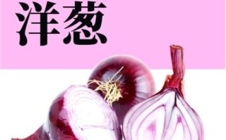 洋葱图片大全大图_如何挑选高清素材