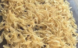 鱼胶哪个牌子好_鱼胶价格一般多少钱