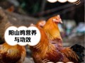 山鸡养殖技术_山鸡养殖成本和利润