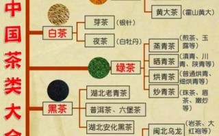 中国茶叶种类有哪些_不同茶类怎么区分