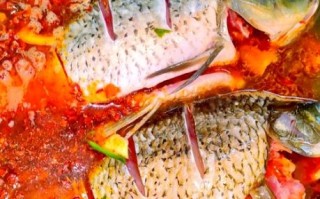 泡椒鲫鱼怎么做好吃_泡椒鲫鱼的家常做法