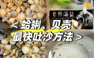 花蛤怎么快速去沙_花蛤最快洗干净的方法