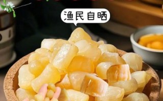 瑶柱怎么泡发_瑶柱泡发多久才软