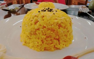 黄金蛋炒饭小说讲了什么_结局是HE还是BE