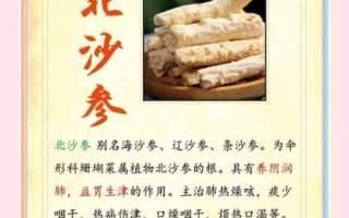 北沙参的功效与作用_适合哪些人群吃
