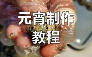 元宵的做法_元宵怎么煮不破皮