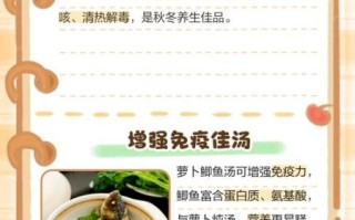 鲫鱼白萝卜汤的功效与作用_适合什么人喝