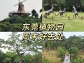 东莞植物园门票多少钱_东莞植物园有什么好玩的