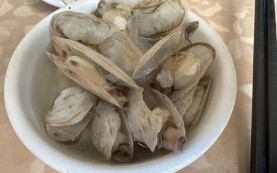 蛏王的鼻子为什么会掉_蛏王鼻子掉了还能长出来吗