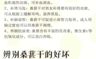 黑桑葚干泡酒壮阳吗_黑桑葚酒的功效与作用