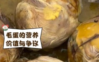 毛鸡蛋的功效有哪些_毛鸡蛋真的大补吗