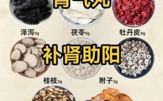 青少年肾虚怎么调理_青少年肾虚吃什么好