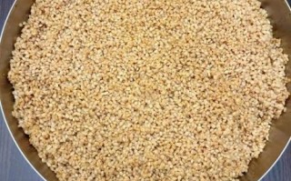 鲜肉粽子怎么做_鲜肉粽子糯米要泡多久