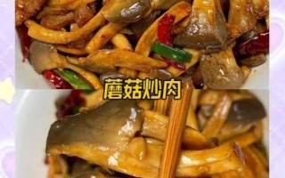 蘑菇炒肉怎么炒才嫩_蘑菇炒肉的家常做法窍门