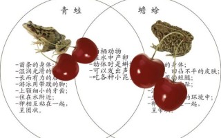 青蛙和癞蛤蟆的区别_青蛙和癞蛤蟆哪个有毒