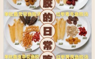 鱼胶怎么泡发_鱼胶炖汤做法