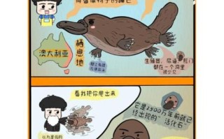 鸭嘴兽是哺乳动物吗_鸭嘴兽为什么能哺乳
