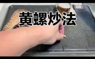黄螺煮多久_黄螺煮多久才熟