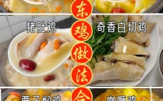 鸡怎么做好吃_家常鸡的做法大全