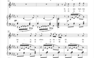 鳟鱼舒伯特正谱_如何正确演奏