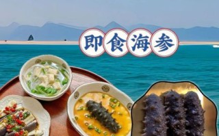 即食海参怎么吃_即食海参怎么做好吃
