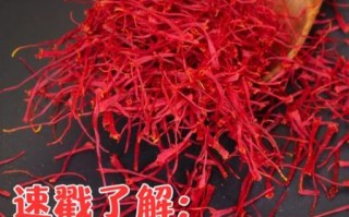 藏红花怎么吃效果最好_藏红花泡水喝的正确方法