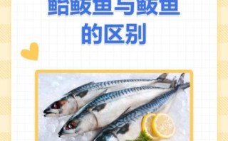 鲭鱼和鲅鱼的区别_怎么一眼分辨