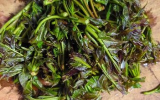 香椿芽炒鸡蛋不焯水可以吗_香椿芽炒鸡蛋要不要焯水