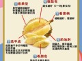 榴莲图片高清_如何挑选果肉饱满的榴莲