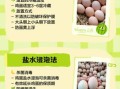 冷冻鸡蛋怎么做_冷冻鸡蛋能保存多久