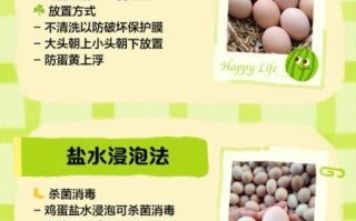 冷冻鸡蛋怎么做_冷冻鸡蛋能保存多久